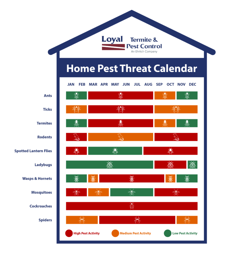 Pest Threats Found in Virginia Homes | Monthly Calendar Format